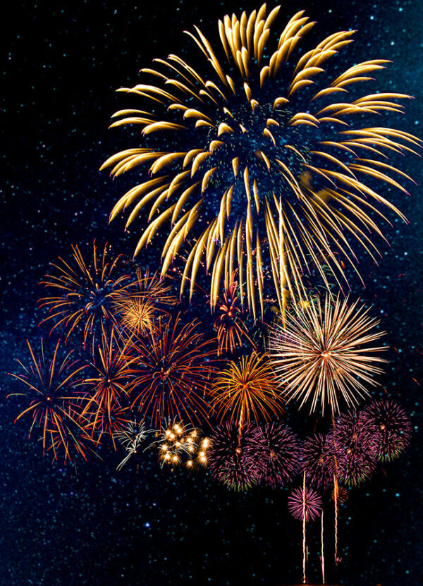 Affordable Cremation Services in San Diego, CA - Opal Cremation