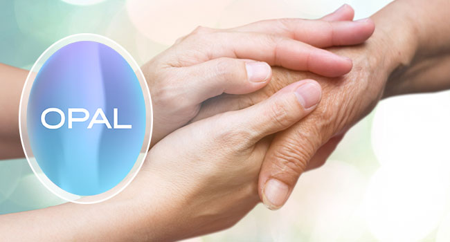 Hospice and Healthcare Professionals Resource Center